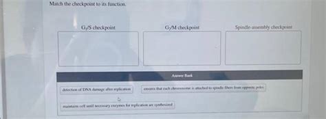 get answer match the checkpoint to its function g1 s checkpoint detection of transtutors