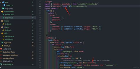 从0到1完成一个vue后台管理项目（五、登录页，mock，token，axios封装）vue登录界面mock Csdn博客