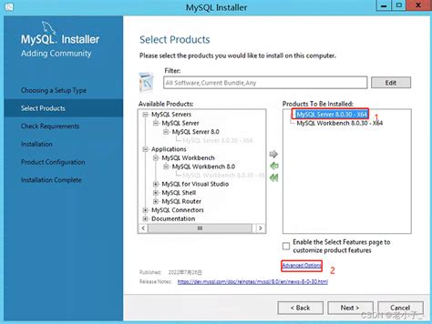 NET3 1 Mysql8 0 Redis Windows IIS部署 iis连接redis CSDN博客