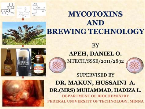 Mycotoxin And Brewing Technology Apeh Daniel O Ppt