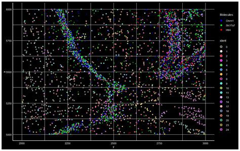 Labeling On Spatial Plot Issue Satijalab Seurat GitHub