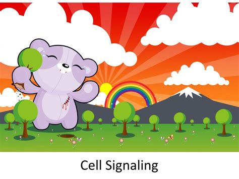 PPT Cell Signaling PowerPoint Presentation Free Download ID 3909431