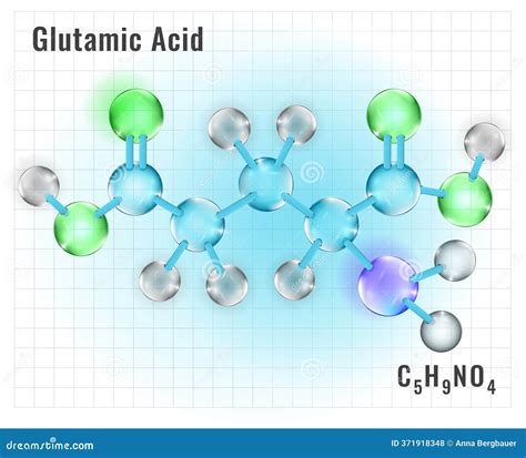 Glutamic Acid Molecular Structure Glutamate Ball And Stick 3d Model Structural Chemical