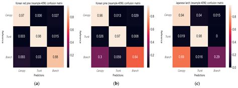 automated segmentation of individual tree structures using deep