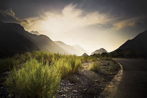 Road Grass Counting Wallpaper Hd Nature 4k Wallpapers Images And