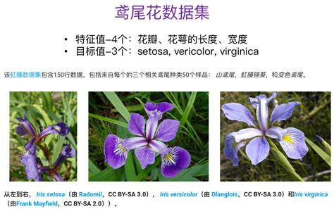 【机器学习算法】knn鸢尾花种类预测案例和特征预处理。全md文档笔记（已分享，附代码） 知乎