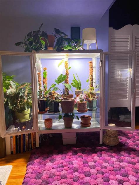 Super Easy Diy Indoor Greenhouse Ideas • The Garden Glove