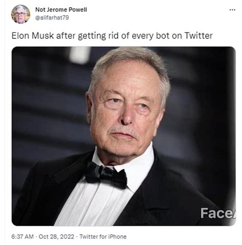‘all Hail Our New Twitter Overlord Twitter Users Share Hilarious