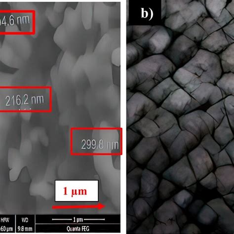 Sem Micrograph Of Magnetite Obtained From Hematite By Reduction At Download Scientific Diagram