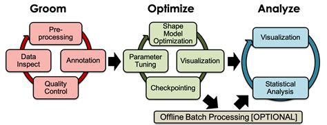 Shape Modeling Workflow ShapeWorks