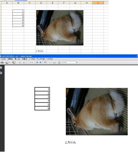 JavaでPDFを作成する Excella みみたれうさぎと立ちみみうさぎの考察