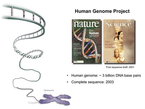 python meetup 2014 ppt