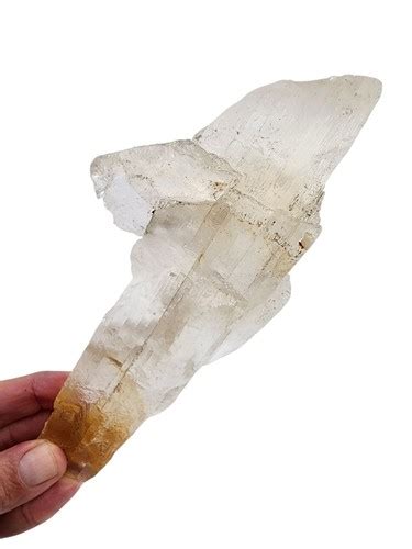 Golden Phantom Selenite Crystal Specimen Utah 2162 Grams Ebay
