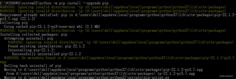 更新pip失败valueerror Unable To Find Resource T64exe In Package Pip