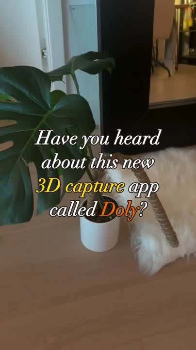 Video Manuel Sainsily On Linkedin 3dcapture Doly Dolyapp 3d