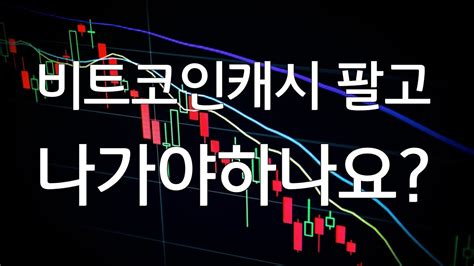 비트코인캐시 팔고 나가야하나요 도와주세요 Youtube