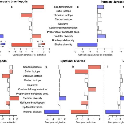 Origination And Extinction Rates And Diversity Of Bivalves With