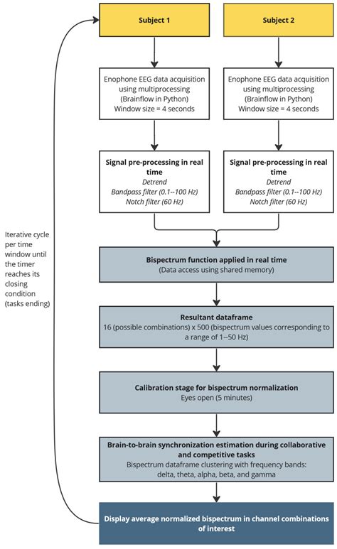 Sensors Free Full Text Implementation Of A Real Time Brain To Brain Synchrony Estimation