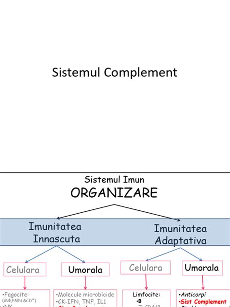 Stud Complementul 2020 Pdf