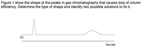 Solved Figure 1 Show The Shape Of The Peaks In Gas Chromatography That