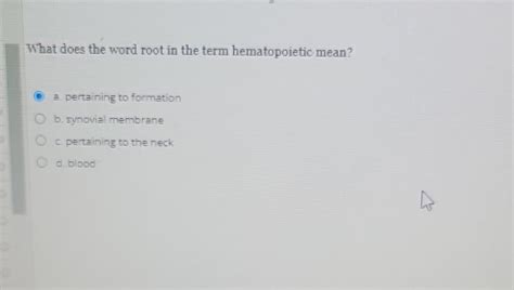 What Does The Word Root In The Term Hematopoietic Mean A Pertaring To