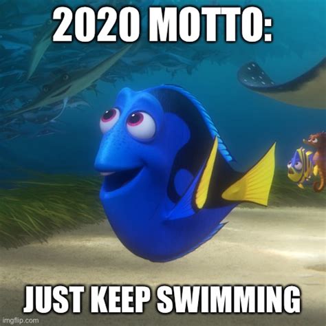 Swimming Happy Meme