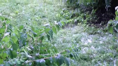 Питерская Погода Youtube