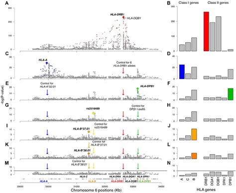Association Plots For The Analyzed Variants And Hla Genes Panels On Download Scientific
