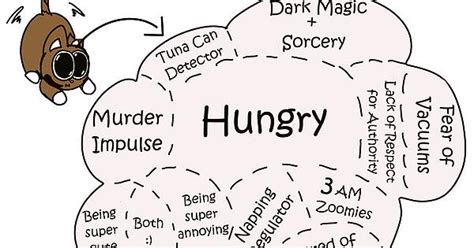 Map Of A Cats Brain Album On Imgur