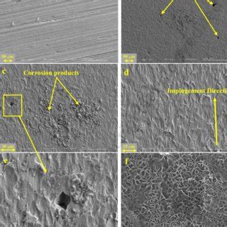 Schema Of The CMP Process Download Scientific Diagram