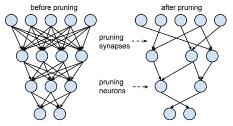 Model Pruning Distillation And Quantization Part 1 Deepgram