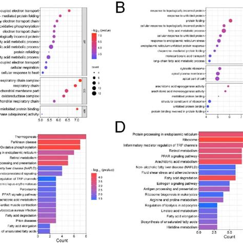 Go Classification And Kegg Pathway Annotation Of Degs A And B Top 20