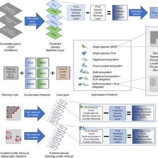 Representation Of Workflow To Develop Input Data Run Optimization Download Scientific Diagram