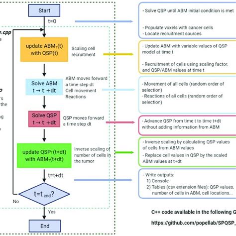 Workflow And Description Of The Spatial Qsp Model Explaining How The