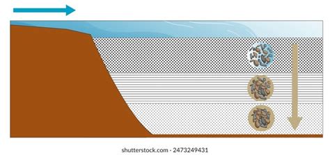 Lithification Diagram 1371218 4 11 Lithification Of Sedimentary