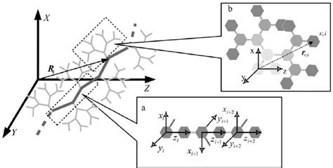LDP Topology And Coordinates Inset A Local Frame Axes X I Y I Z Download Scientific