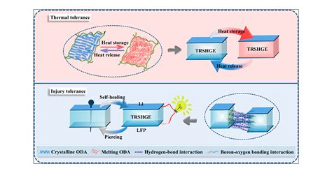 Empowering Quasi Solid Electrolyte With Smart Thermoresistance And