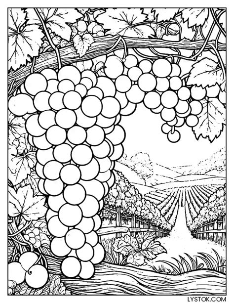 7 Безплатни за Печат Плодове Картинки за Оцветяване за Възрастни и Деца Pdf