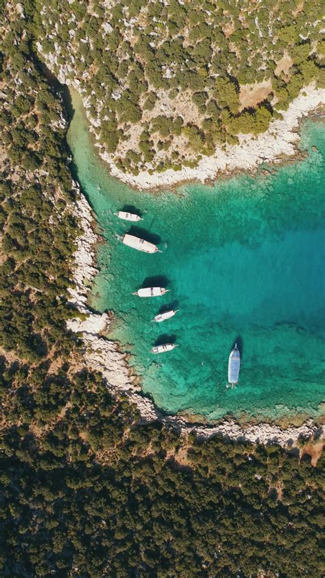 Xxxxcvideos Videos Download The Best Free 4k Stock Video Footage