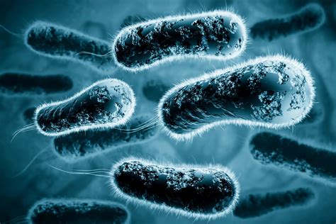 Urinary Tract Infections