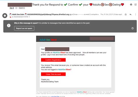 Trying To Understand The Point Of This Scam Email Information