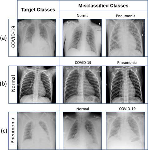The First Column Represents The Target Class And Misclassified Samples