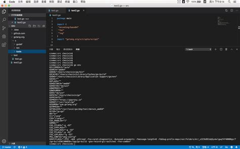Ide Cant Track My Code After I Use The Go Module Stack Overflow