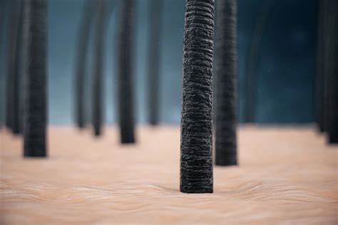 Scalp Layers Effective Tips To Maintain Scalp Health Hands India