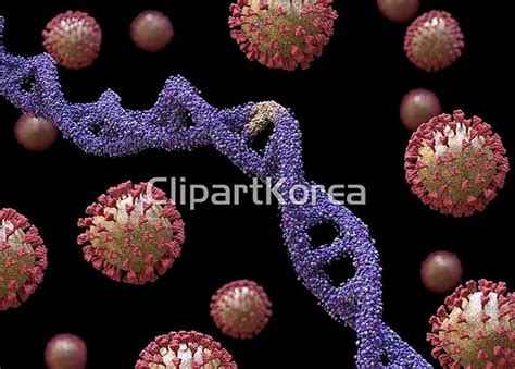 해외작가포토 클립아트코리아 통로이미지주