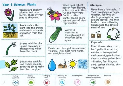 How Widgit Online Supports Inclusive Practice Across A Mat School