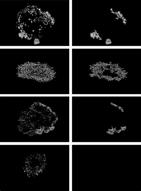 Four Examples Of The Execution Of The Reticular Structure Detection