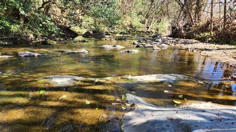 Rocky Branch And Central Walnut Creek Watershed