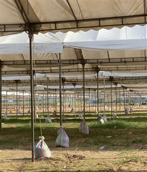 រដ្ឋបាលភ្នំពេញយកខណ្ឌចំនួន២រៀបចំកន្លែង«ស្នាក់នៅ ជូនកីឡាករជាង២ម៉ឺននាក់ សុីសុីថាមស៍