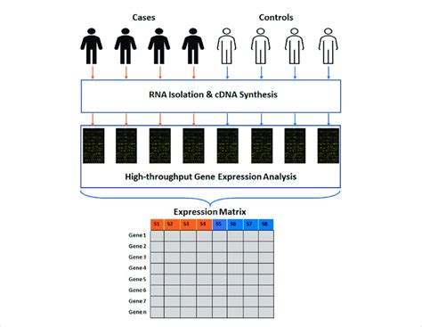 Process Of Generation Of High Throughput Gene Expression Data The Download Scientific Diagram